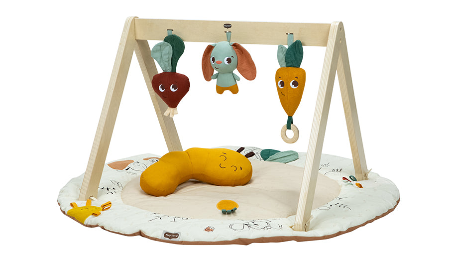 Luxe Developmental Gymini – Tiny Love